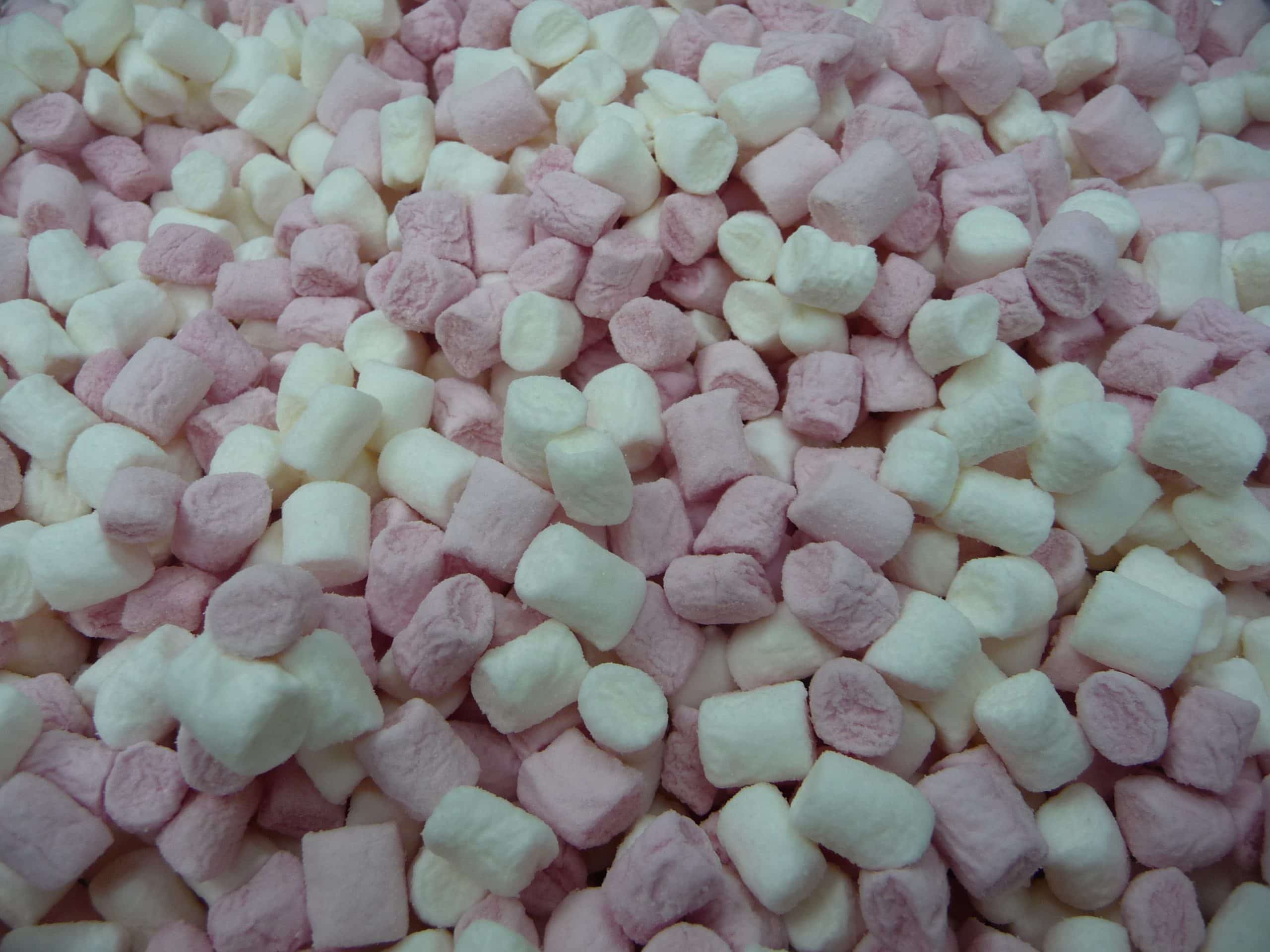 Bonbons vrac mini mallows Haribo France - Boule de gomme