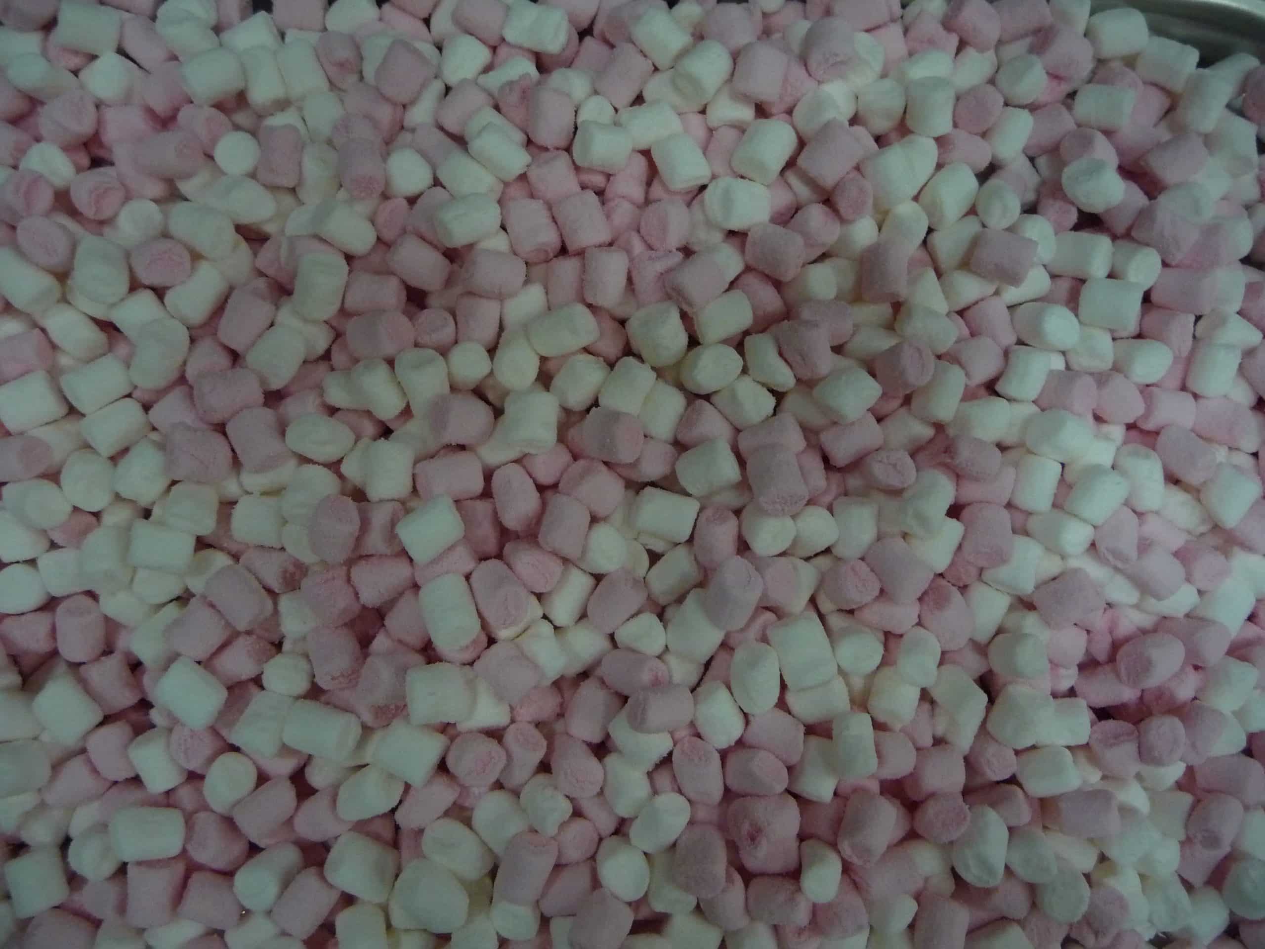 Bonbons vrac mini mallows Haribo France - Boule de gomme